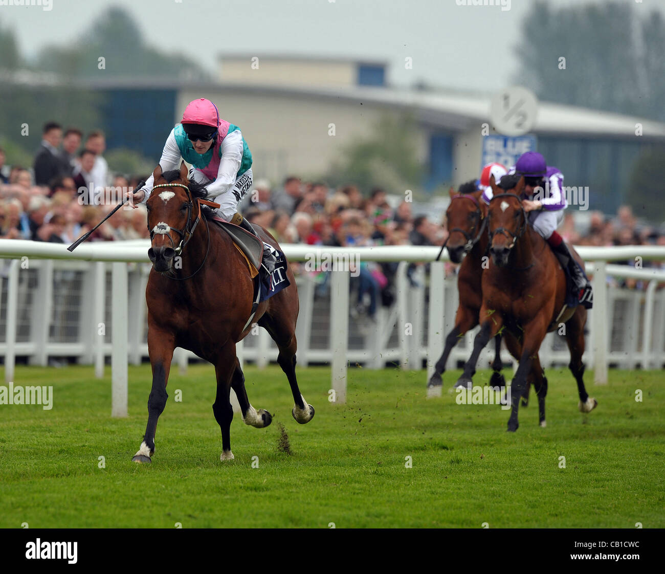 Frankel horse hi-res stock photography and images - Alamy