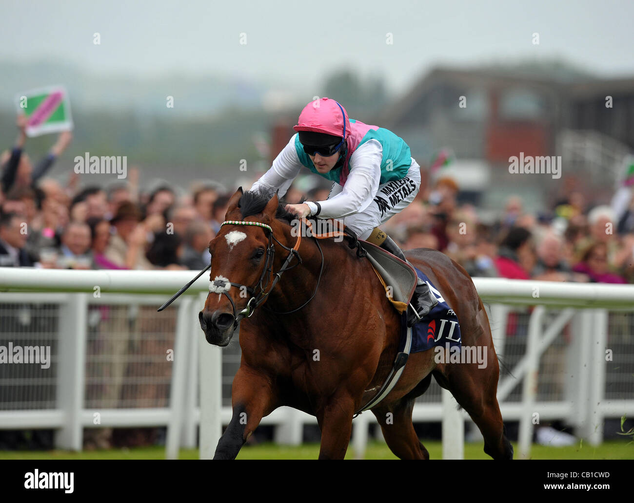 Frankel horse hi-res stock photography and images - Alamy