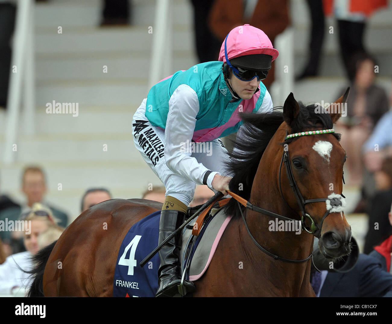 Frankel horse hi-res stock photography and images - Alamy