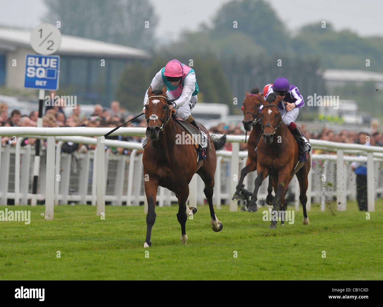 Frankel horse hi-res stock photography and images - Alamy