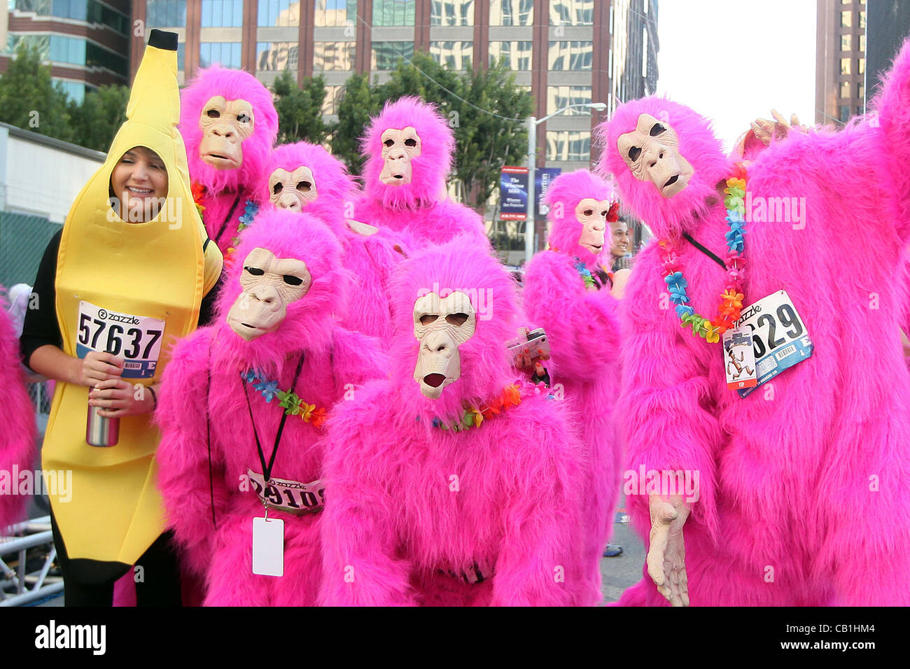 May 19, 2012 - San Francisco, CA, USA - Hot pink Gorillas and one ...