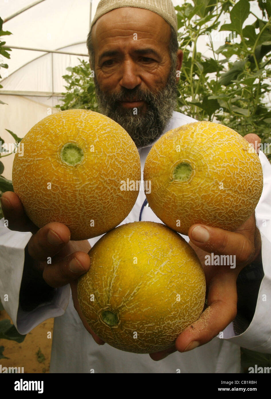 Palestinian melons hi-res stock photography and images - Alamy