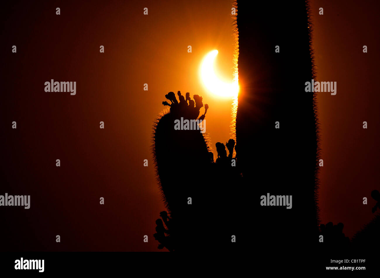 An annular solar eclipse in progress is seen from Ironwood Forest ...