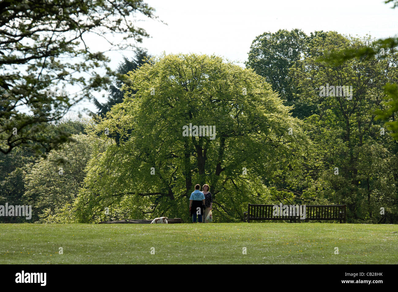 Clyne gardens swansea hi-res stock photography and images - Alamy