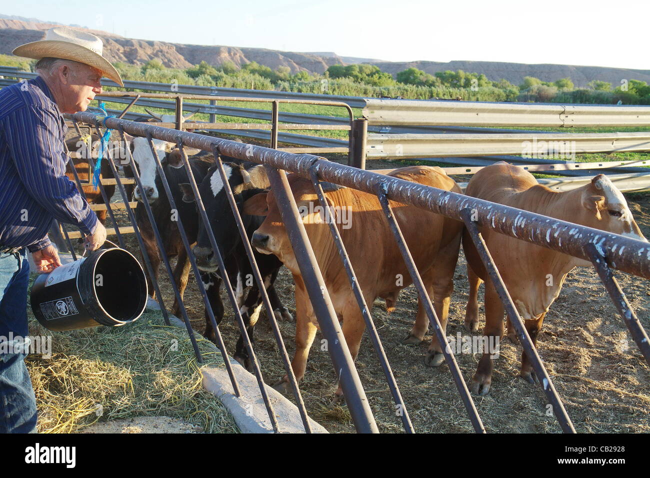 Cliven bundy hi-res stock photography and images - Alamy