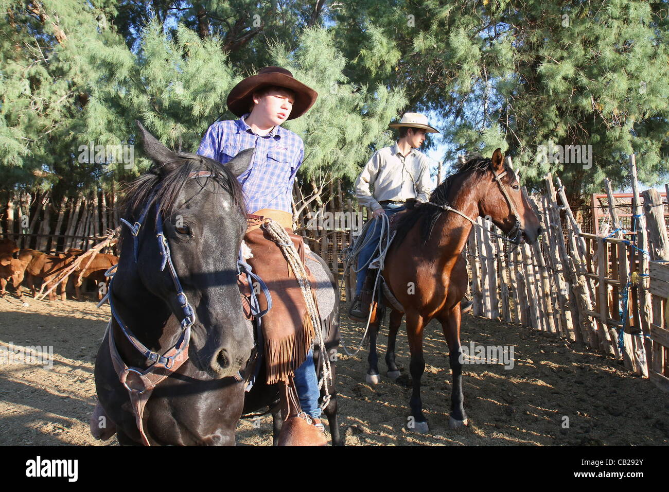 Bundy ranch hi-res stock photography and images - Alamy