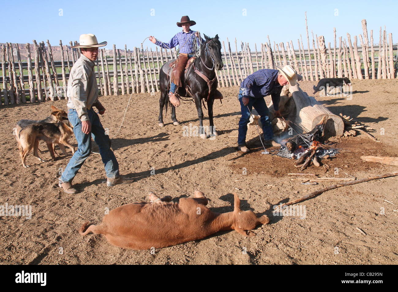 Cliven bundy hi-res stock photography and images - Alamy