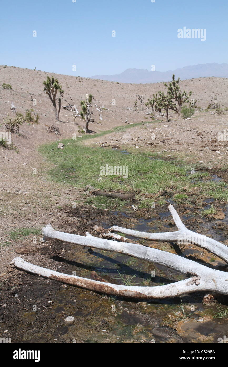 Cattle ranch water tank hi-res stock photography and images - Alamy