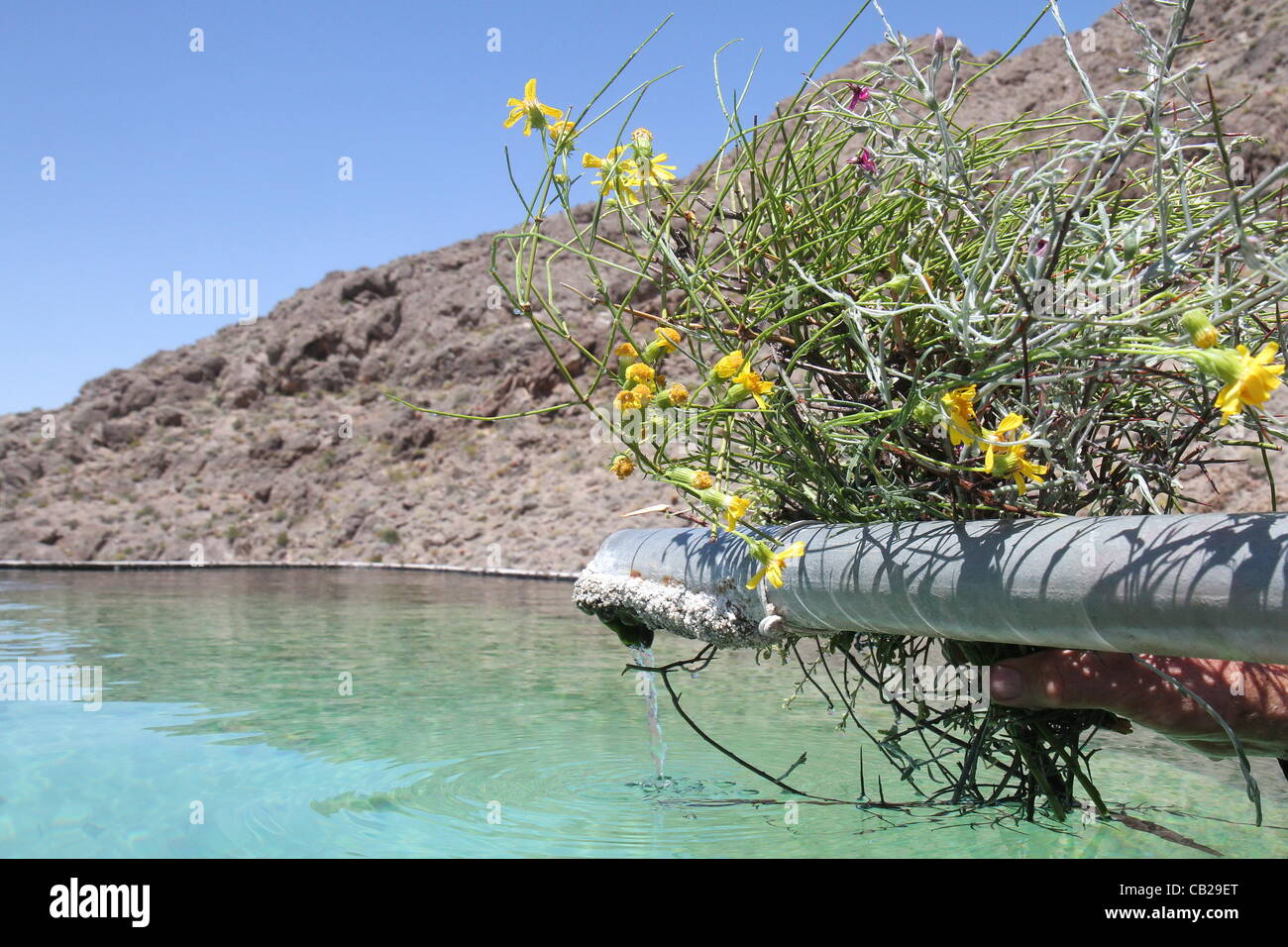 Bundy family nv hi-res stock photography and images - Alamy