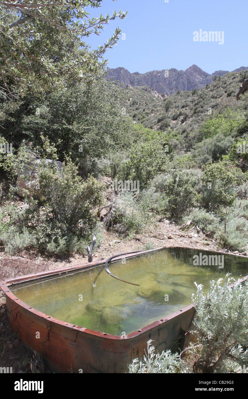 Bundy family nv hi-res stock photography and images - Alamy