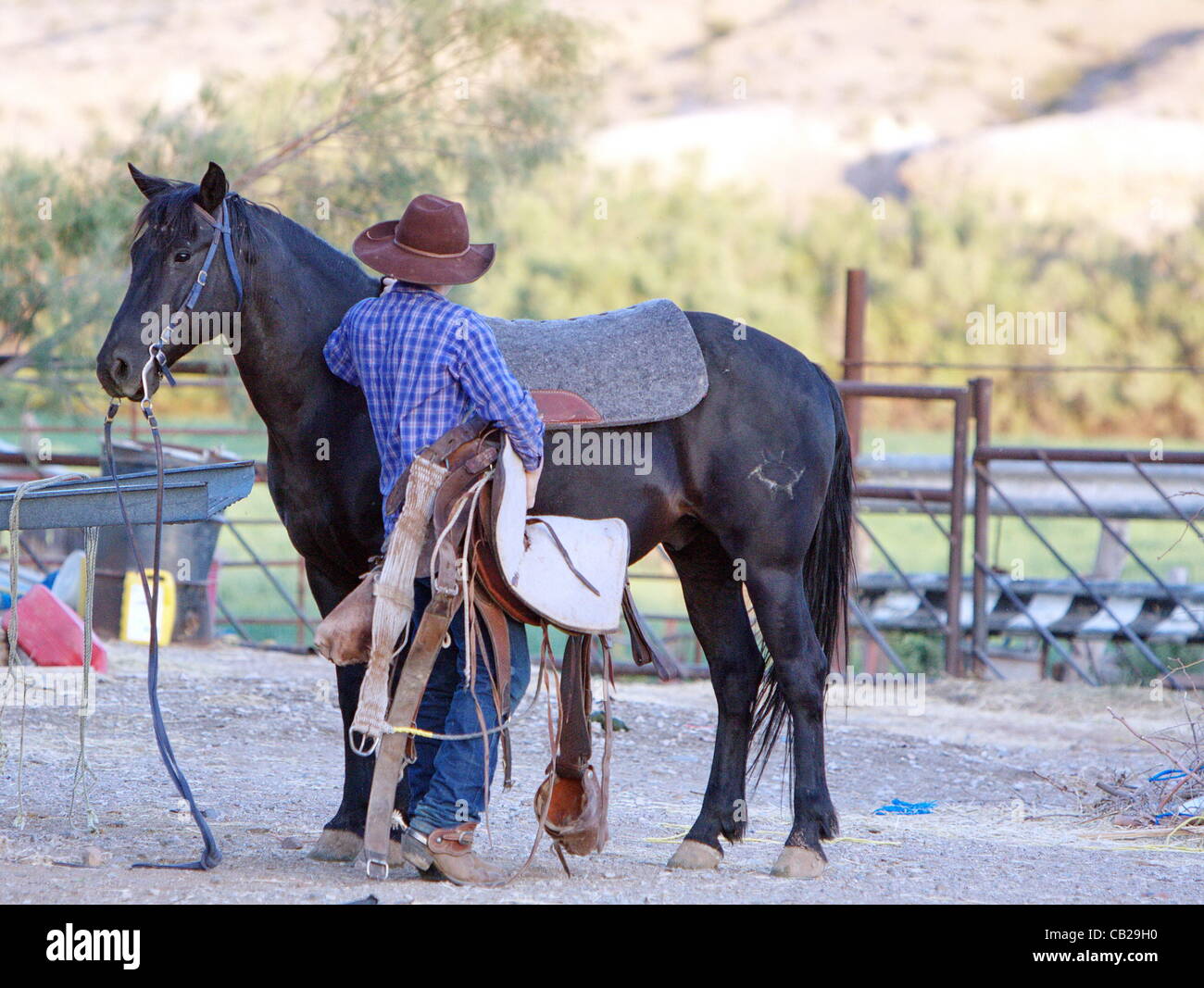 May 16, 2012 - Riverside, NV, U.S - Arden Bundy, 14, prepares to mount ...