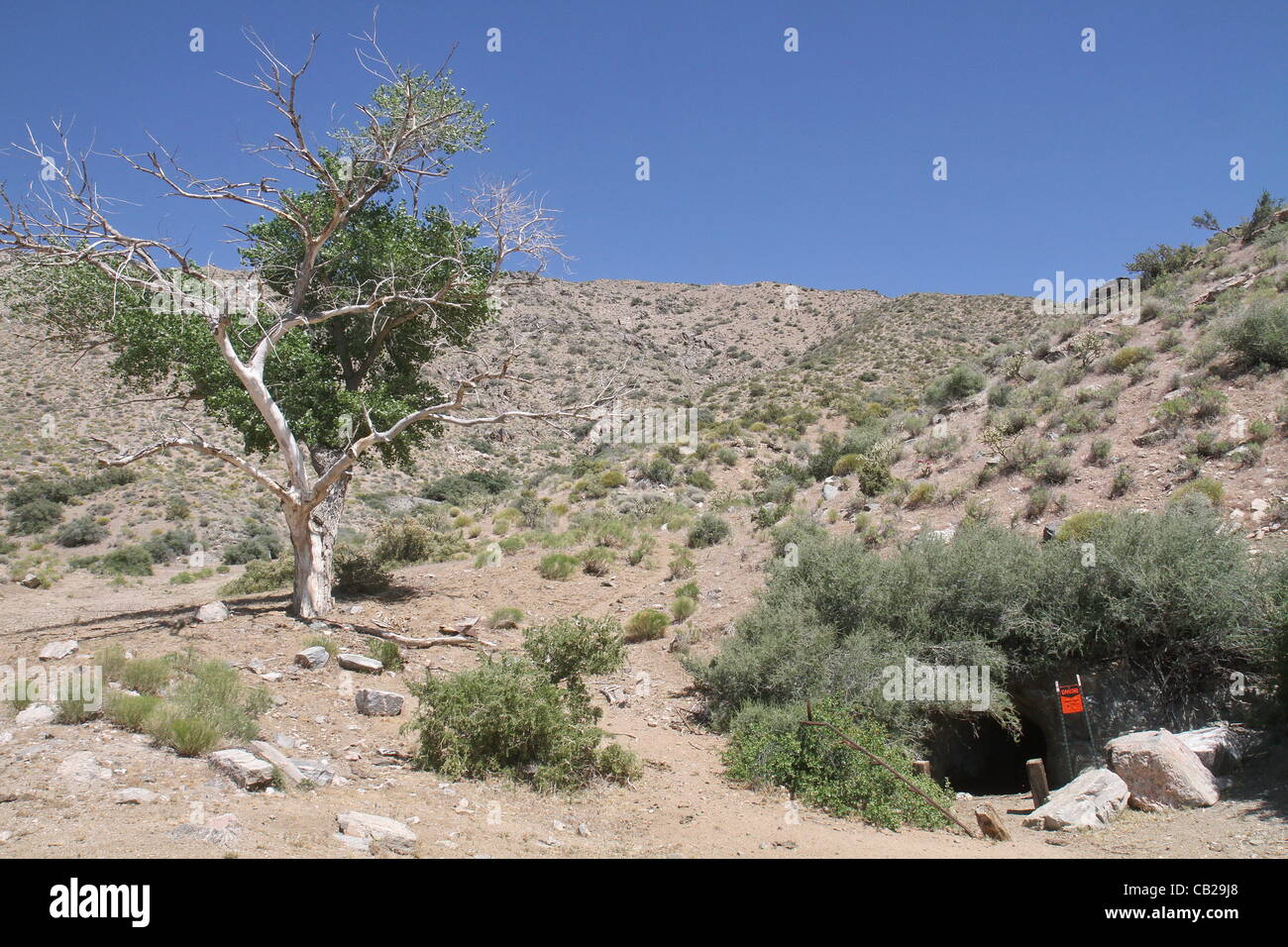May 16, 2012 - Riverside, NV, U.S - Land surrounding the VO Ranch, with ...