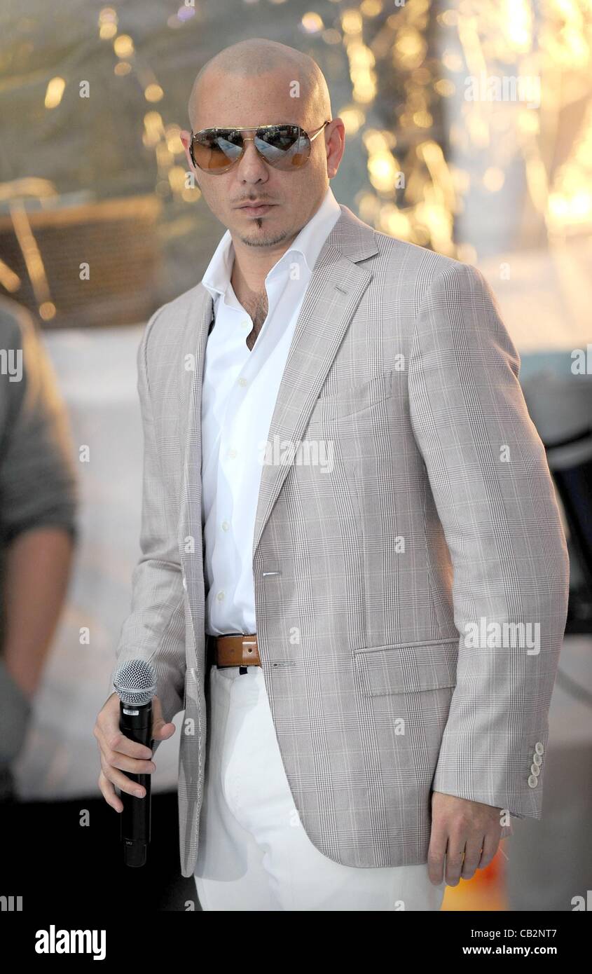 Pitbull on stage for NBC Today Show Summer Concert Series with Pitbull ...