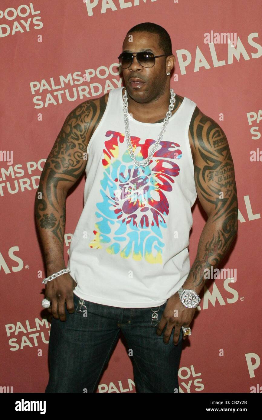 Busta Rhymes 2010
