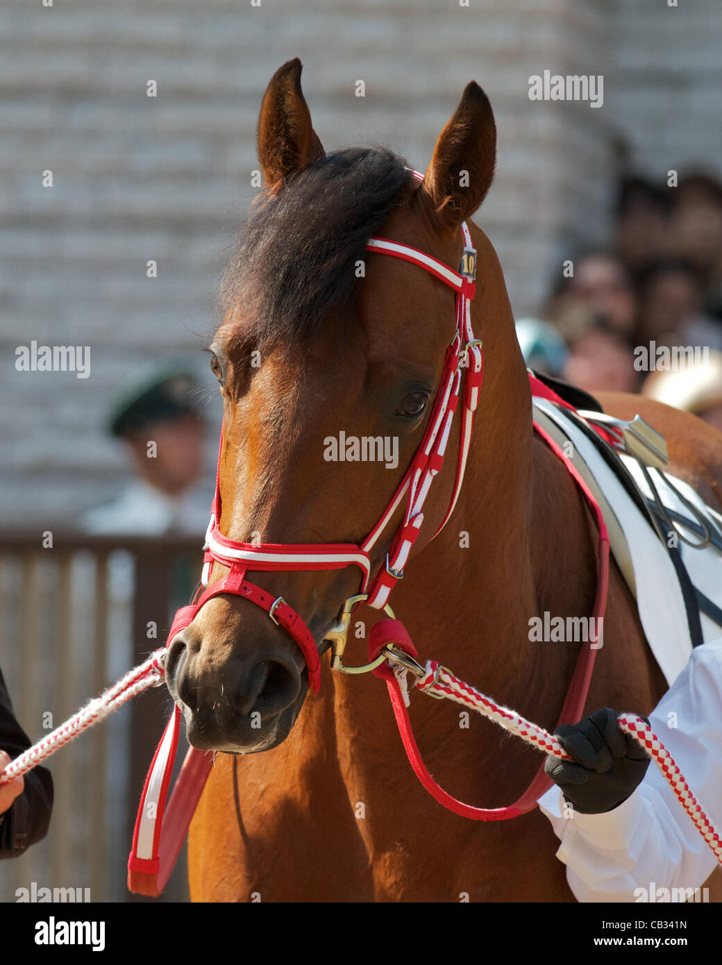 May 27, 2012 - Fuchu, Tokyo, U.S. - Deep Brillante wins the 79th ...
