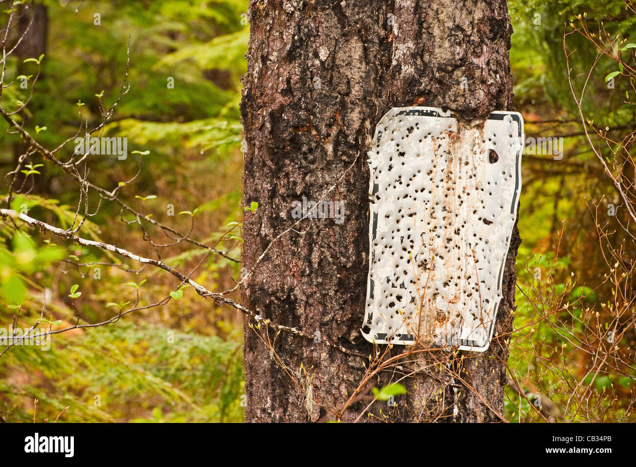 Holes in sign hi-res stock photography and images - Alamy
