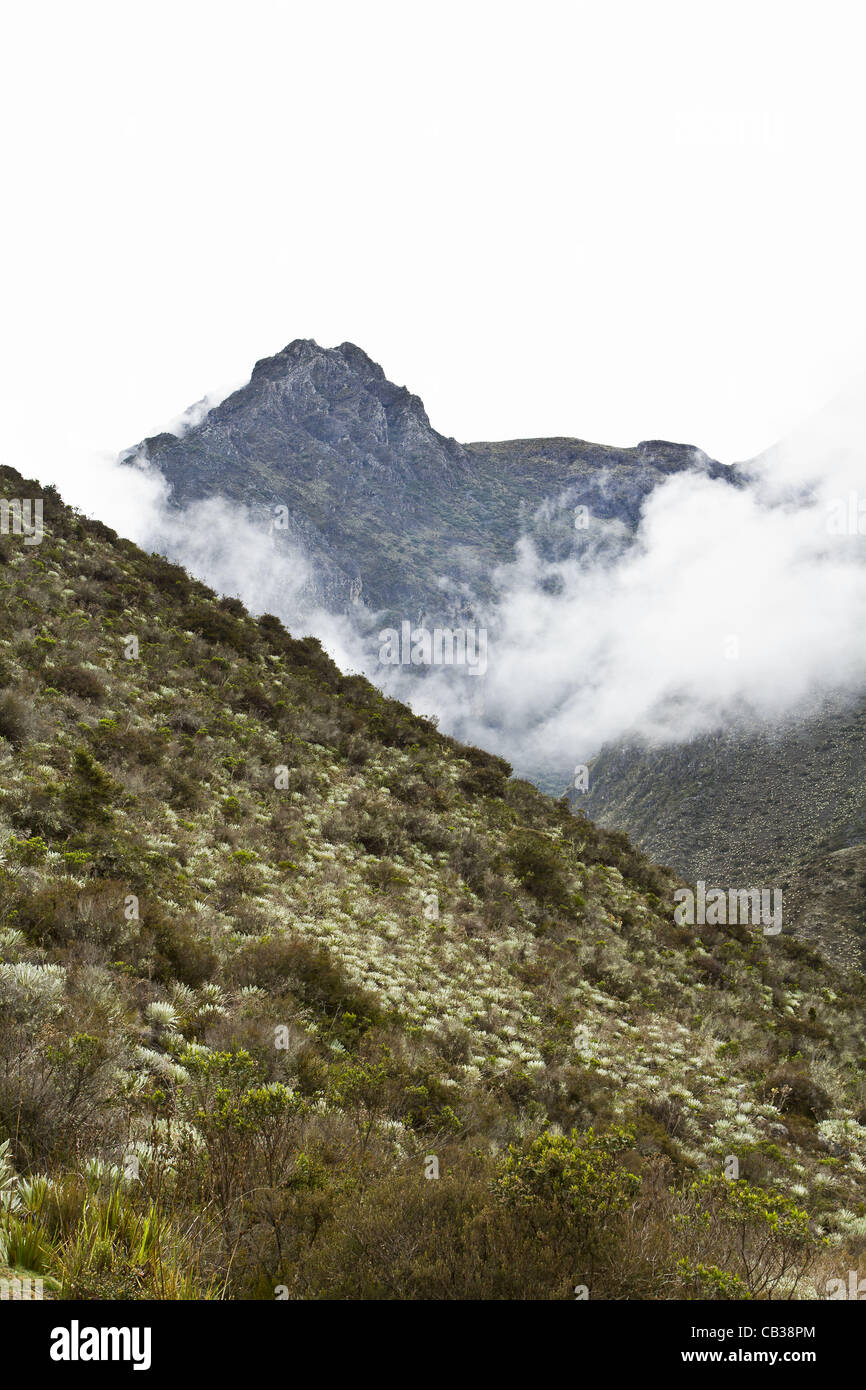 May 11, 2012 - Merida, Merida, Venezuela - Typical landscape of the ...