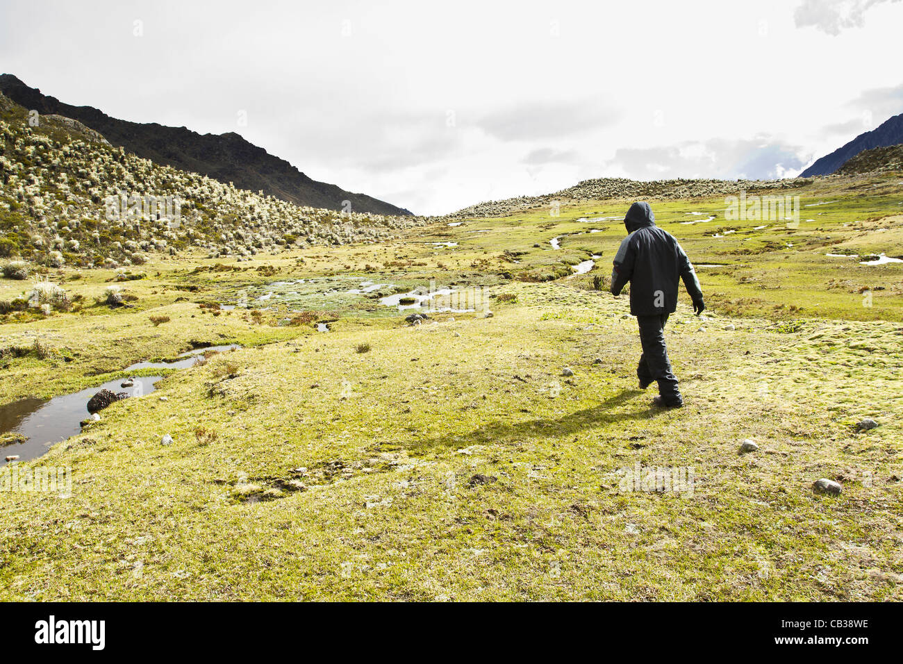 May 12, 2012 - Merida, Merida, Venezuela - Typical landscape of the ...