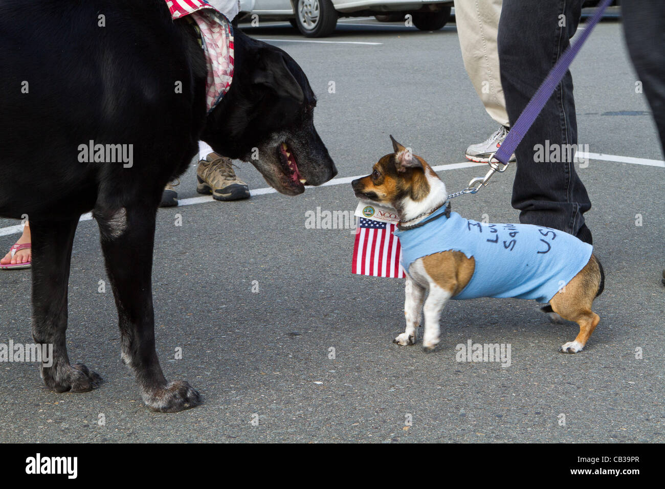 Mitt Romney visits San Diego with John McCain for a Memorial Day ...