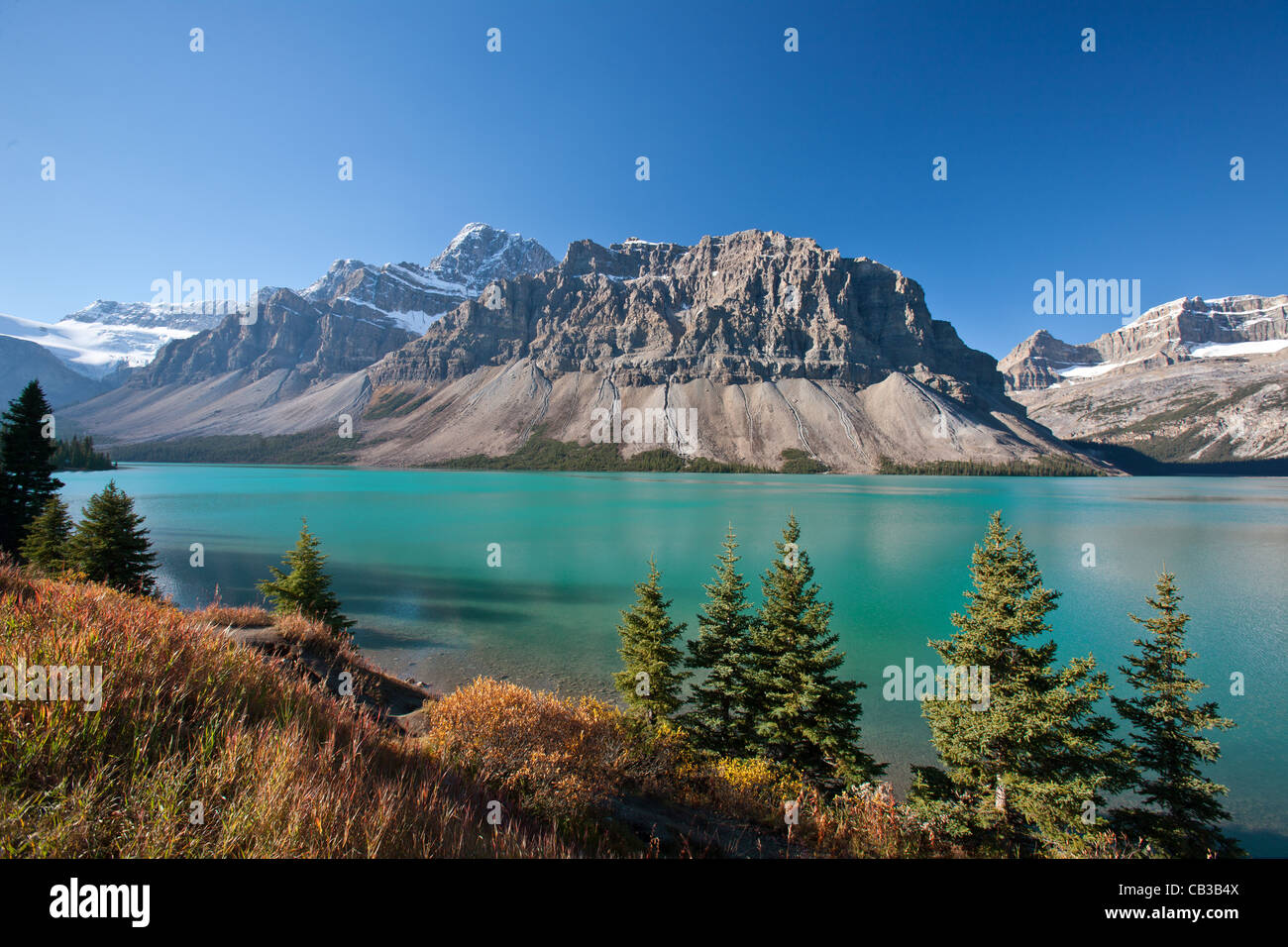 Beautiful Bow Lake of the Canadian Rockies Stock Photo - Alamy