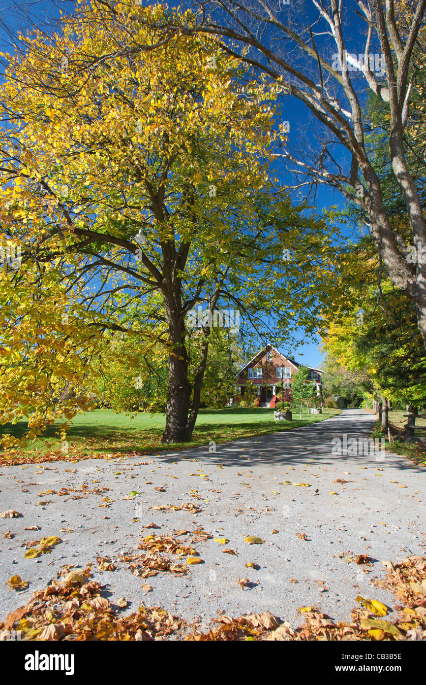 The Colors of Autumn Stock Photo - Alamy