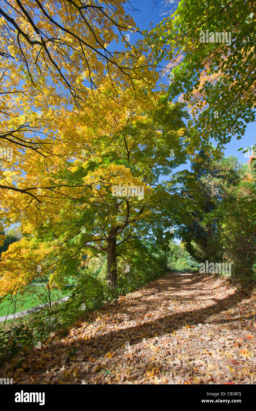 The Colors of Autumn Stock Photo - Alamy