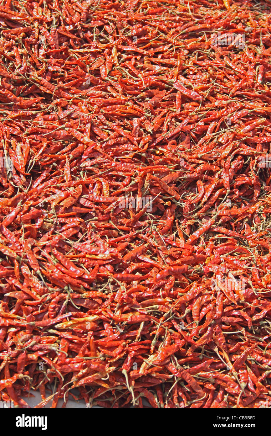 Red chilli pepper, India Stock Photo - Alamy