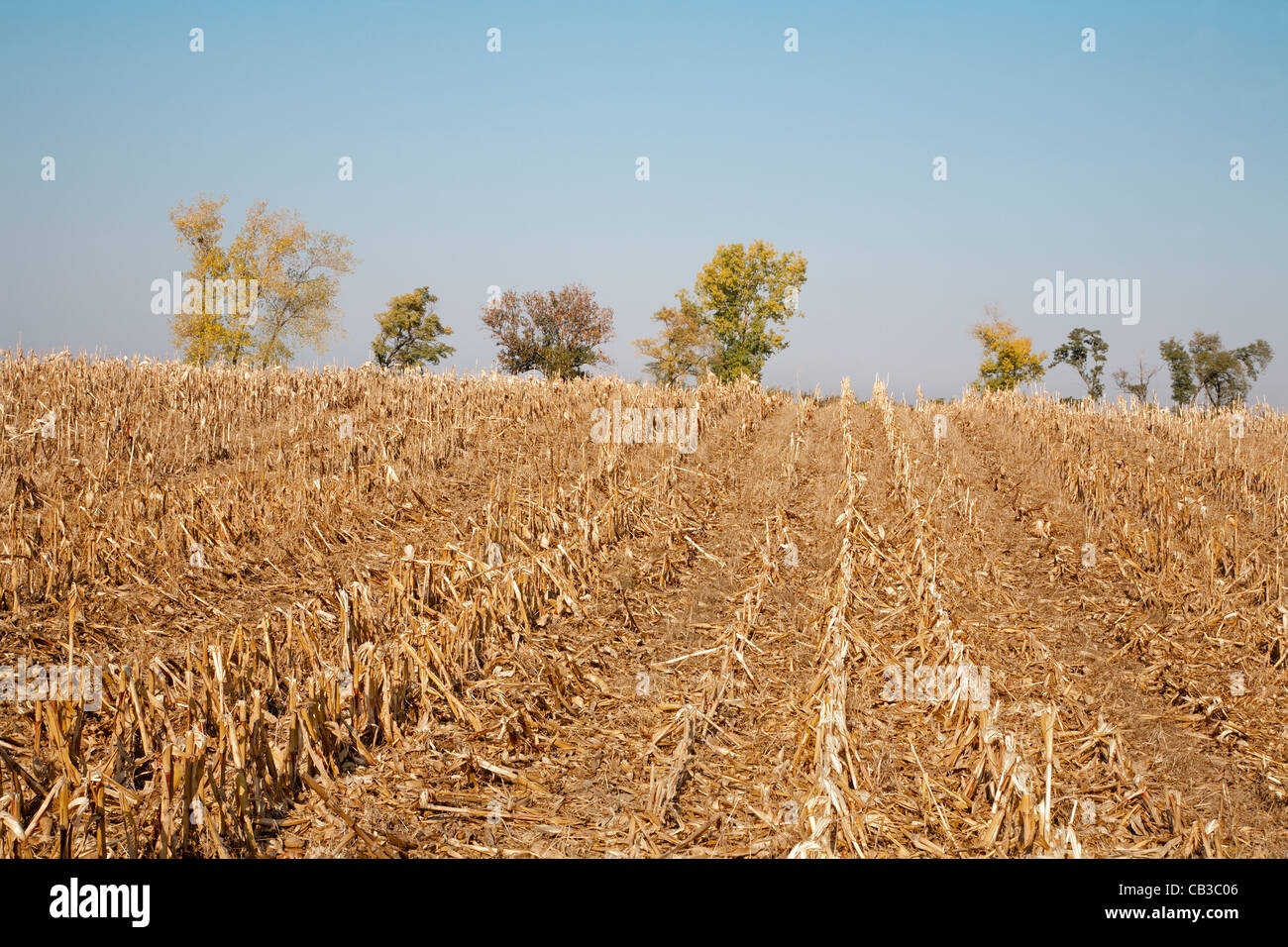Harvest hi-res stock photography and images - Alamy