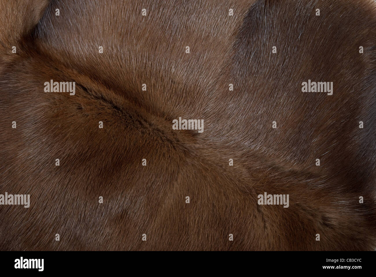 Mink skin hi-res stock photography and images - Alamy