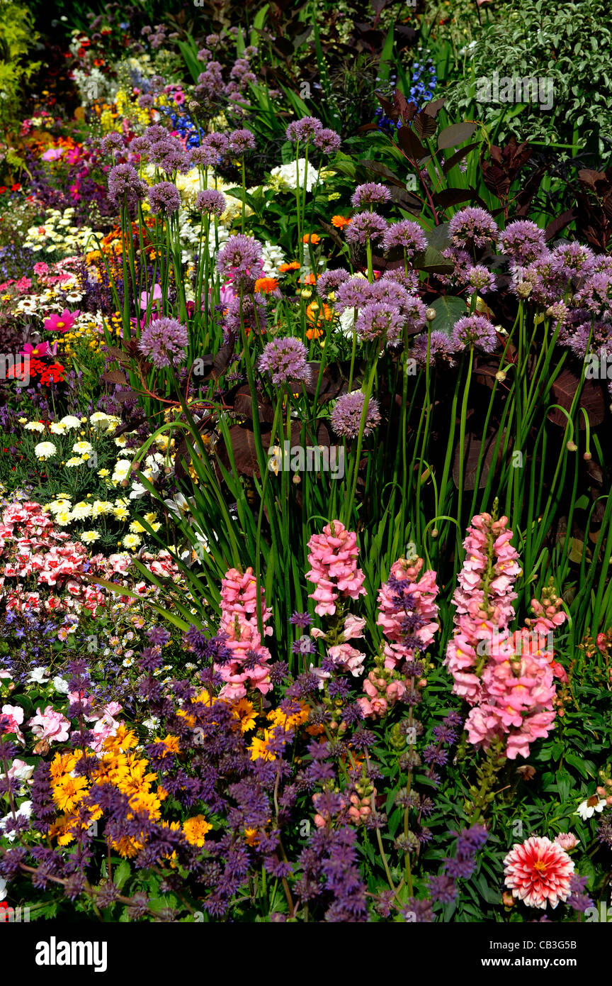 Bright colourful flowerbed hi-res stock photography and images - Alamy