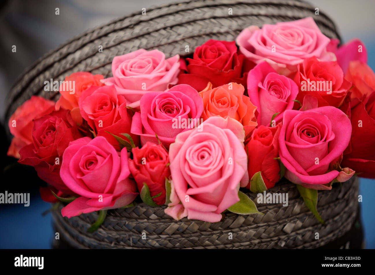 Toning colours hi-res stock photography and images - Alamy