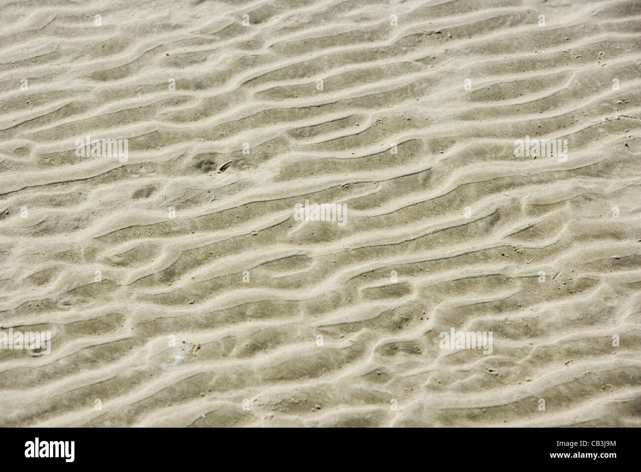 Sand with ripples formed by wave action Stock Photo - Alamy