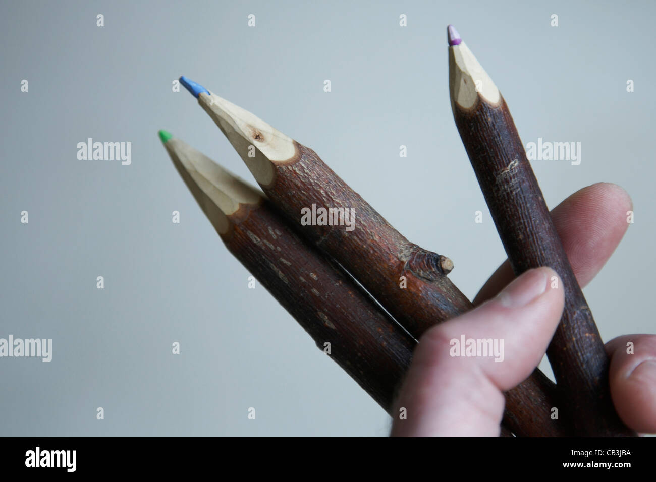 Hand holding twig pencil crayons hi-res stock photography and images ...