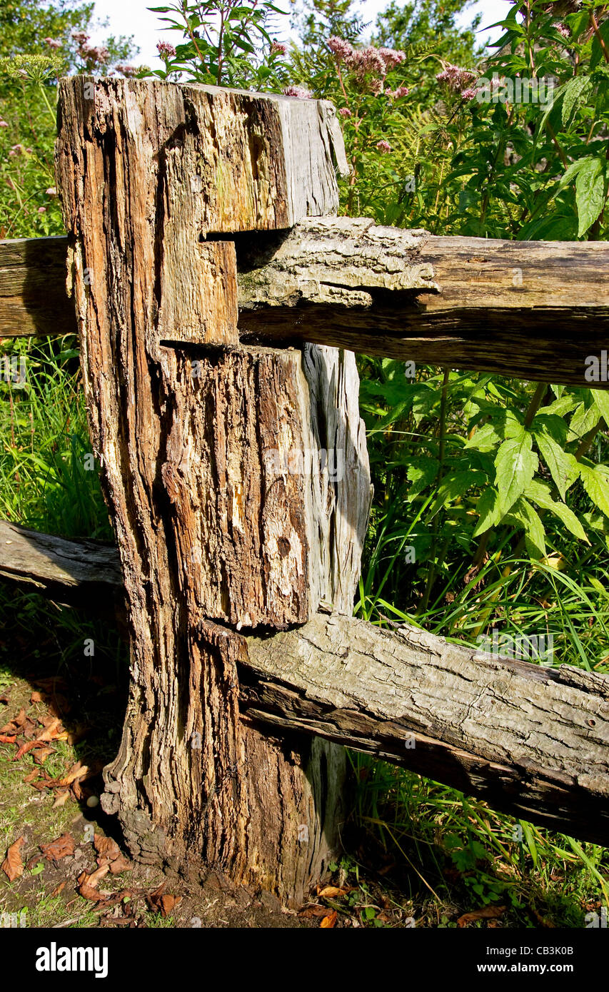 A roughly crafted timber fence made from rough cut logs Stock Photo - Alamy