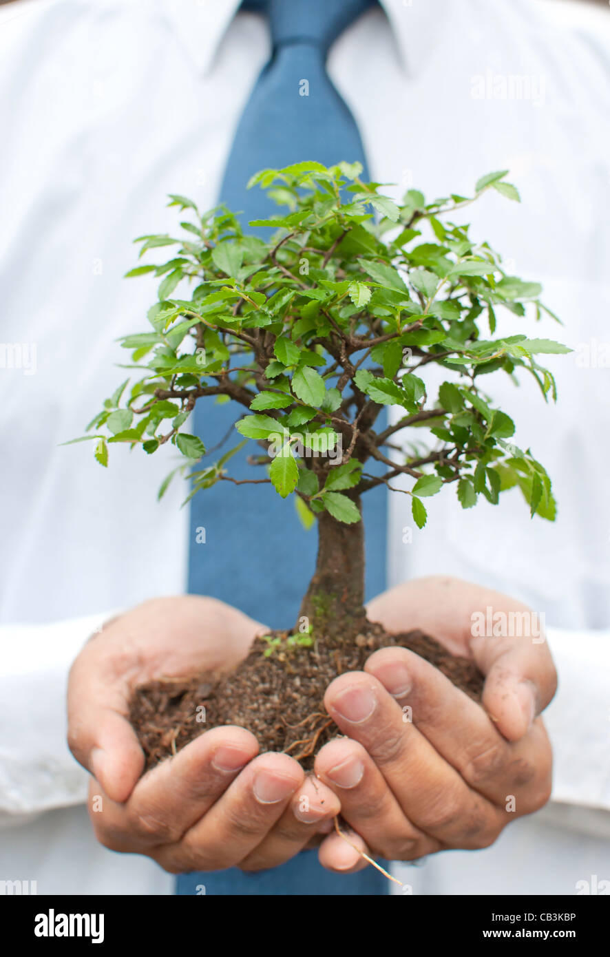 Businessman holding a small tree growing from money Stock Photo - Alamy