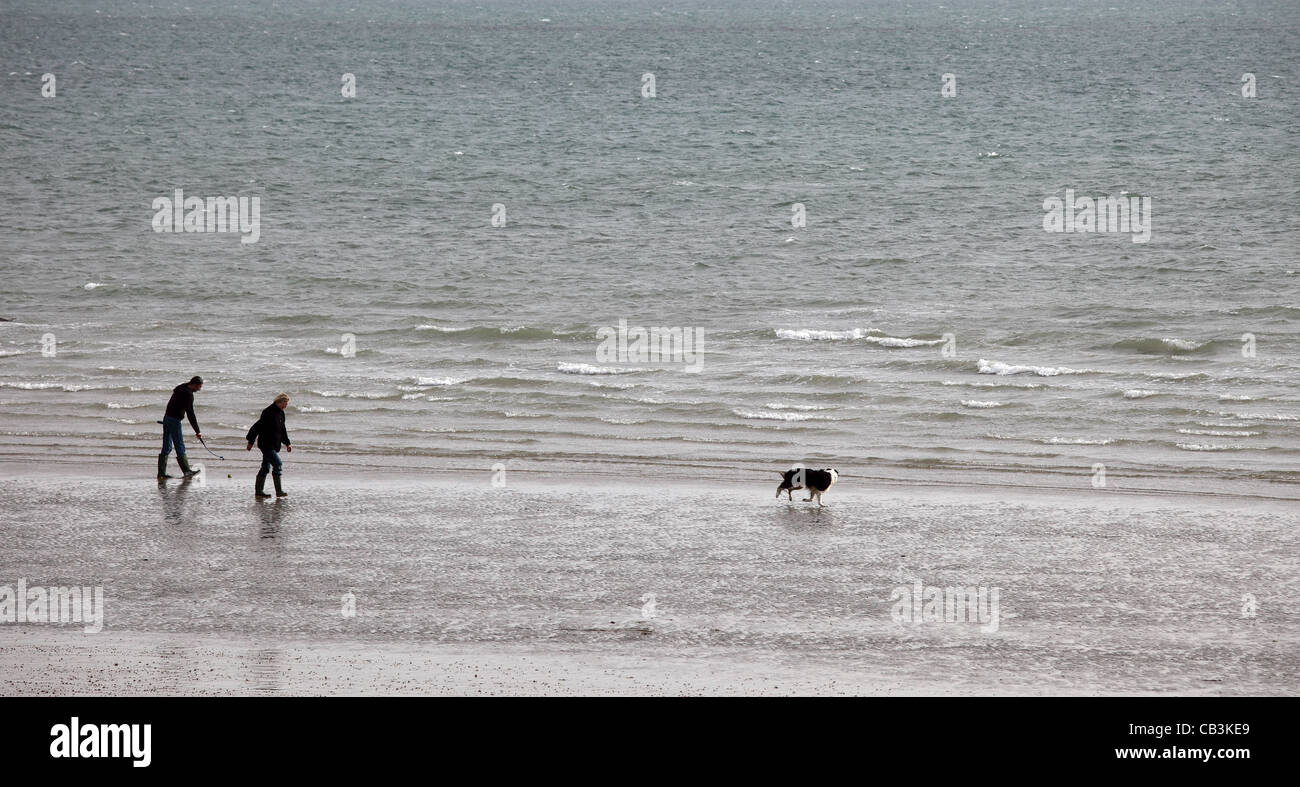 People and dog on Bognor Regis Beach West Sussex Stock Photo - Alamy