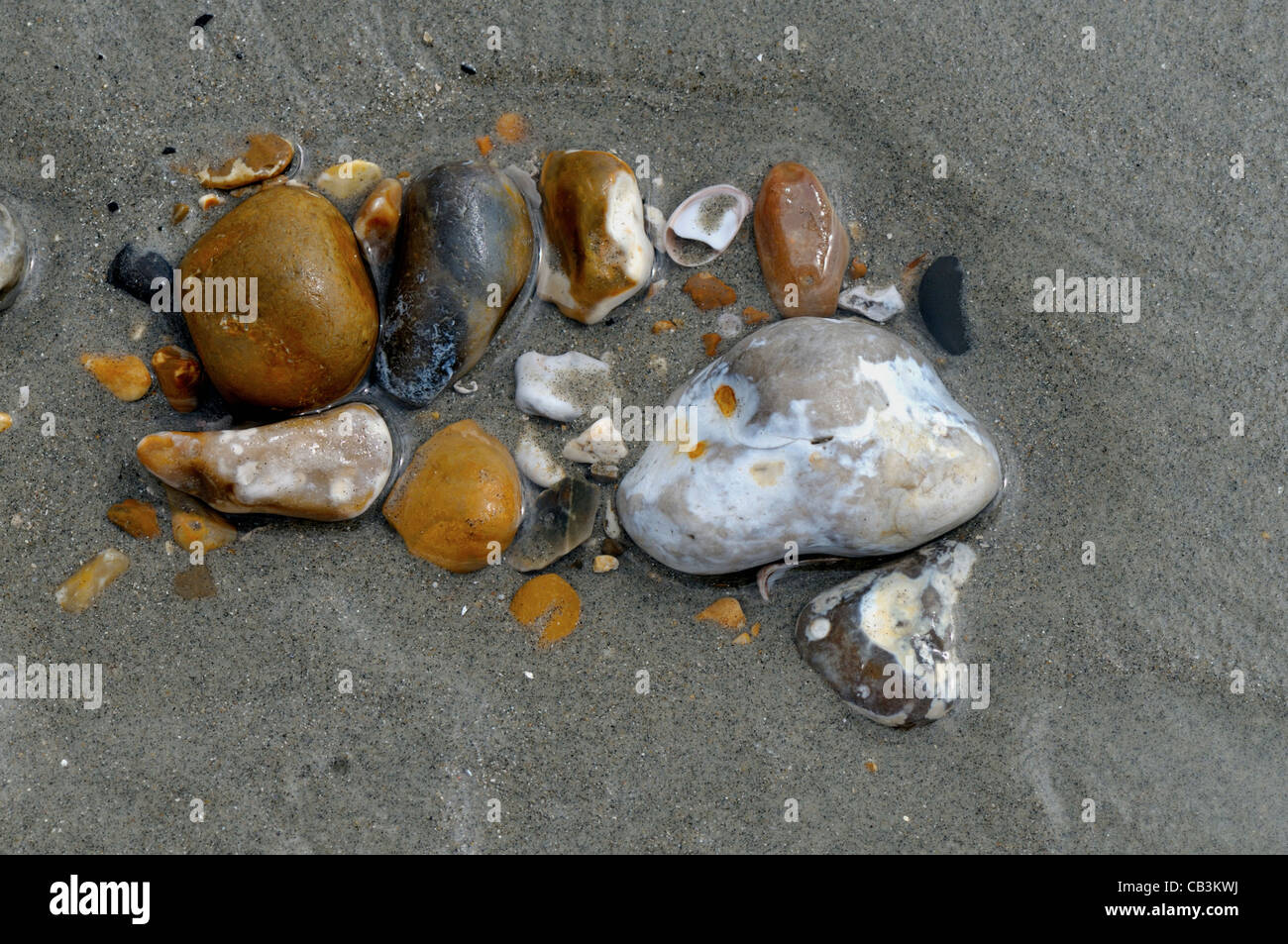 Stones and shells at low tide at Bracklesham Bay beach in UK - England ...