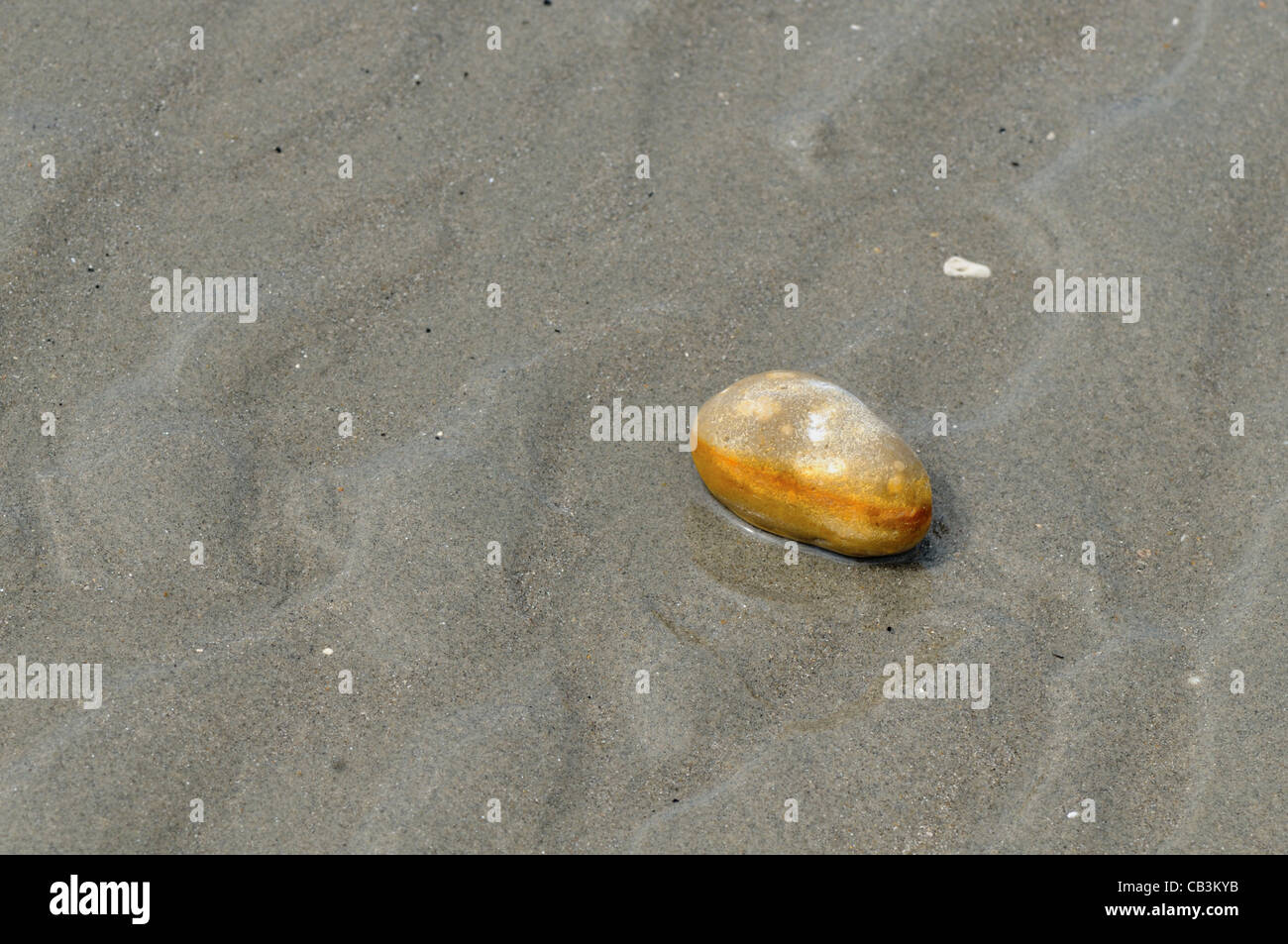 Stones and shells at low tide at Bracklesham Bay beach in UK - England ...