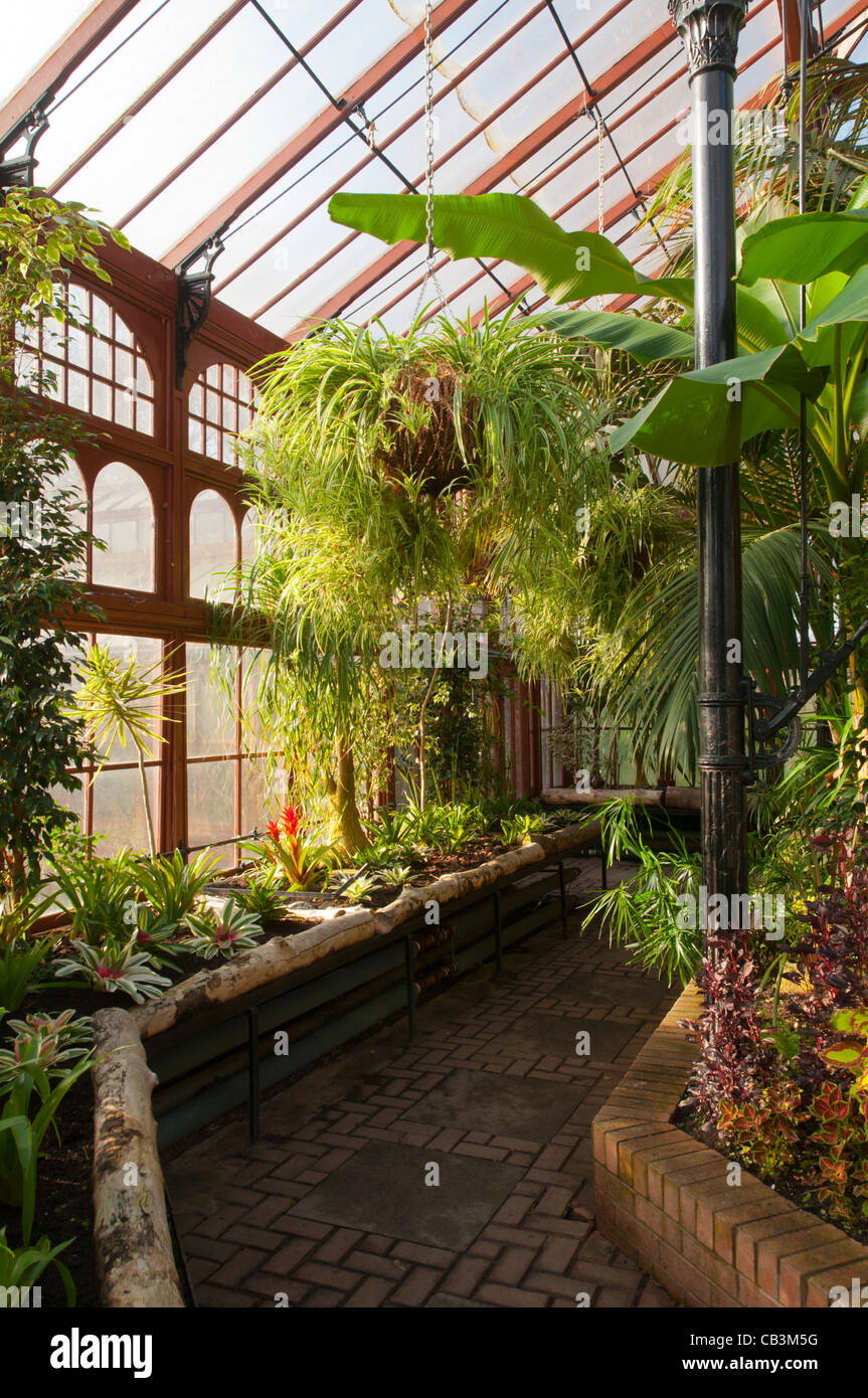 Inside the conservatory at Stamford Park, Ashton under Lyne, Tameside ...