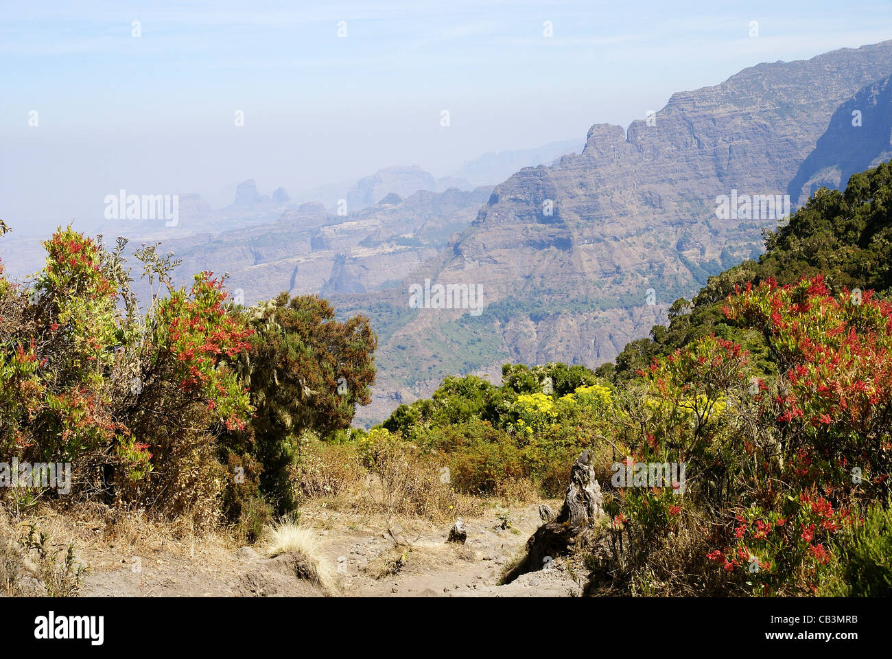 Semien mountains national park hi-res stock photography and images - Alamy