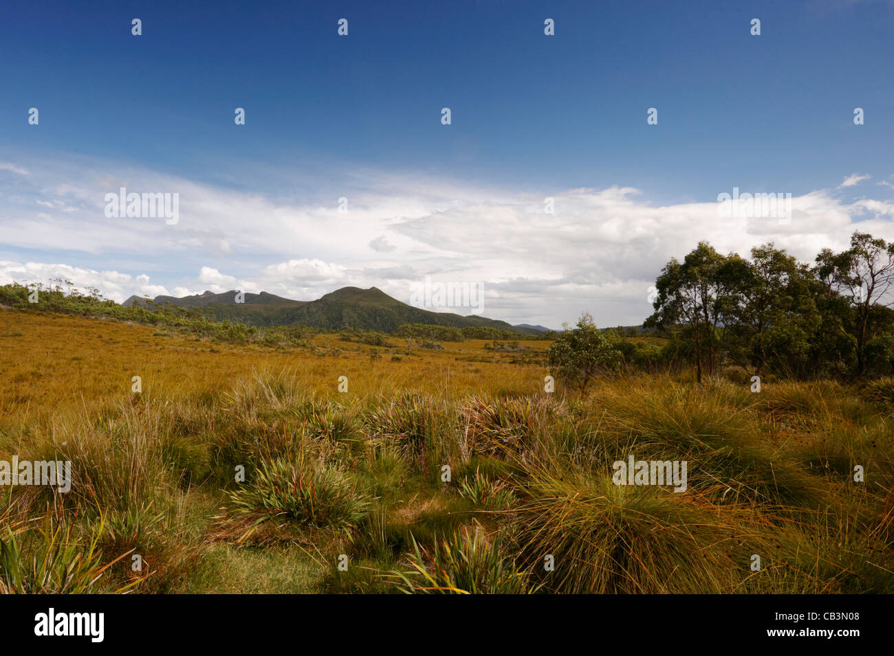 Mount william national park tasmania hi-res stock photography and ...