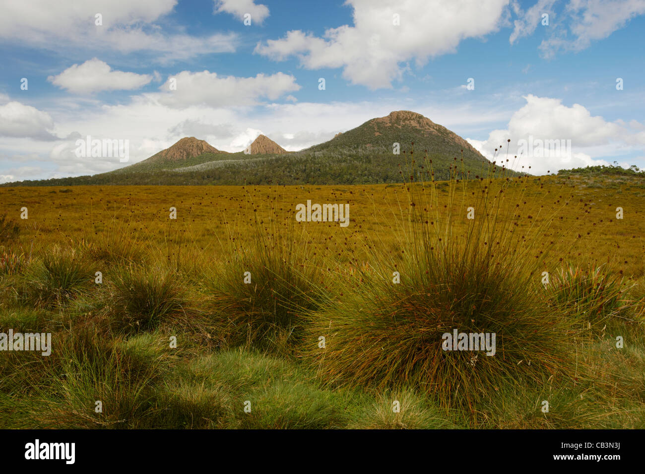 William parks hi-res stock photography and images - Alamy