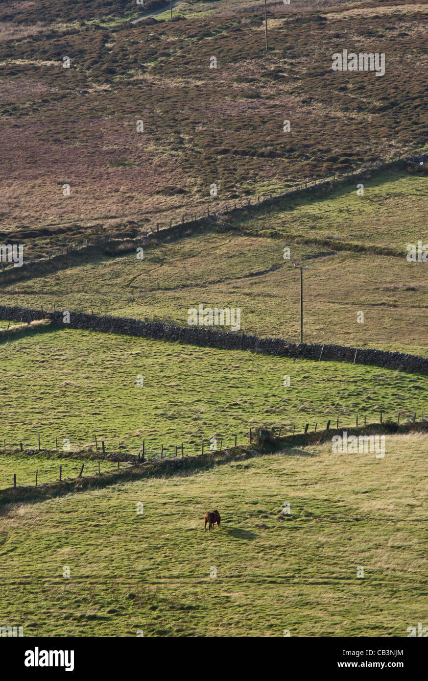 Alexandra land hi-res stock photography and images - Alamy