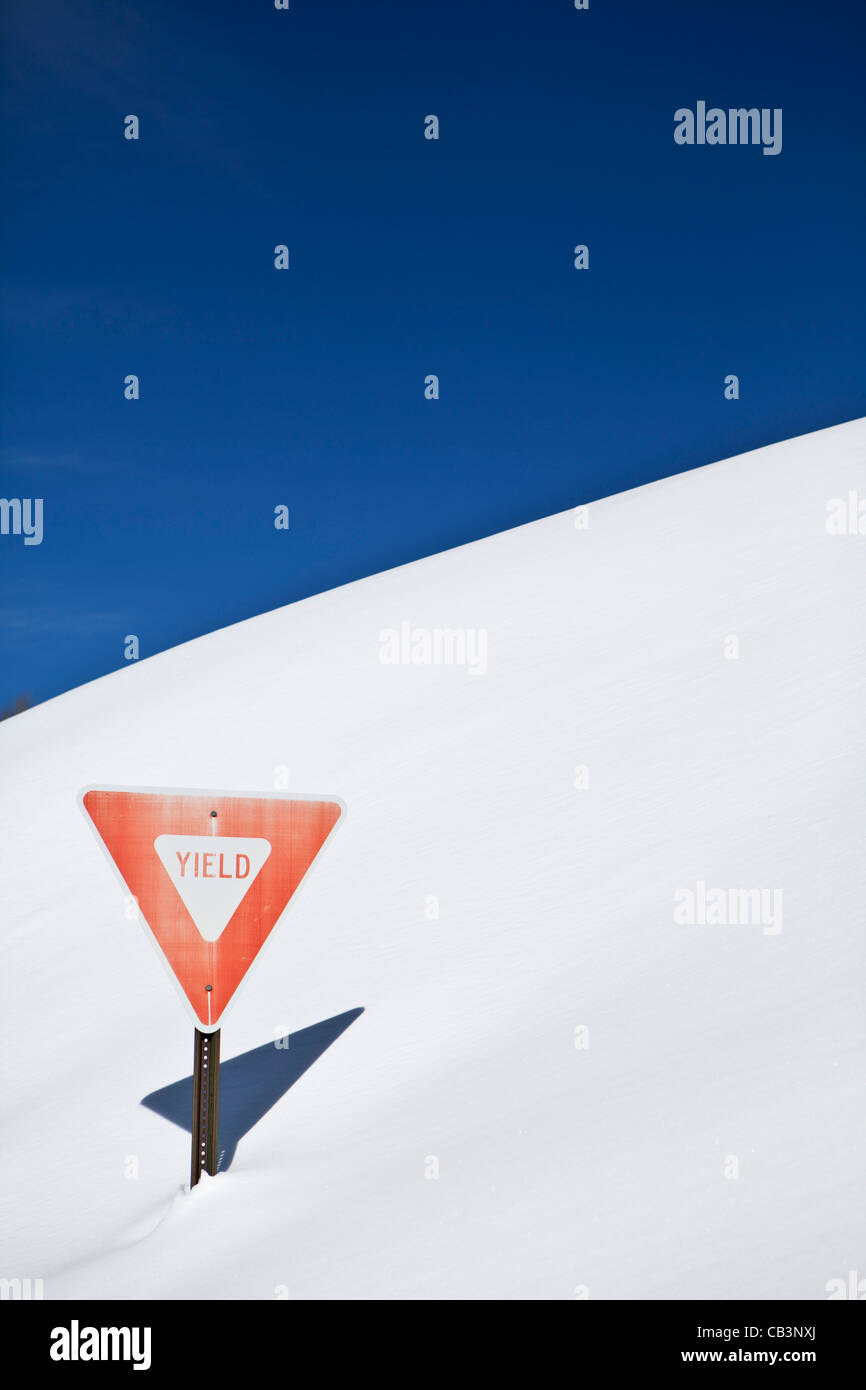 Yield sign buried in snow Stock Photo - Alamy