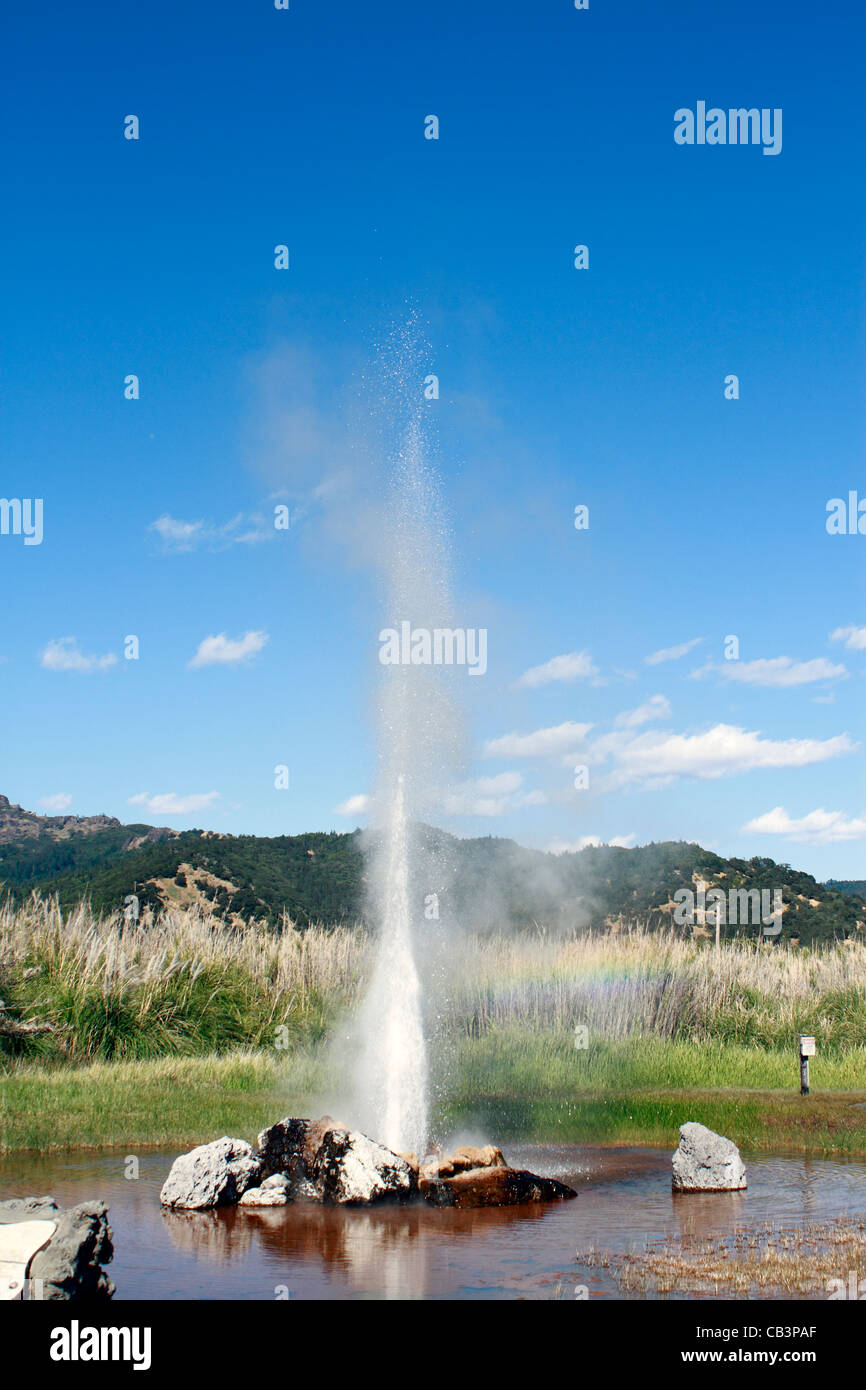 Old Faithful Geyser in Calistoga, Nappa Valley, California. Next to ...