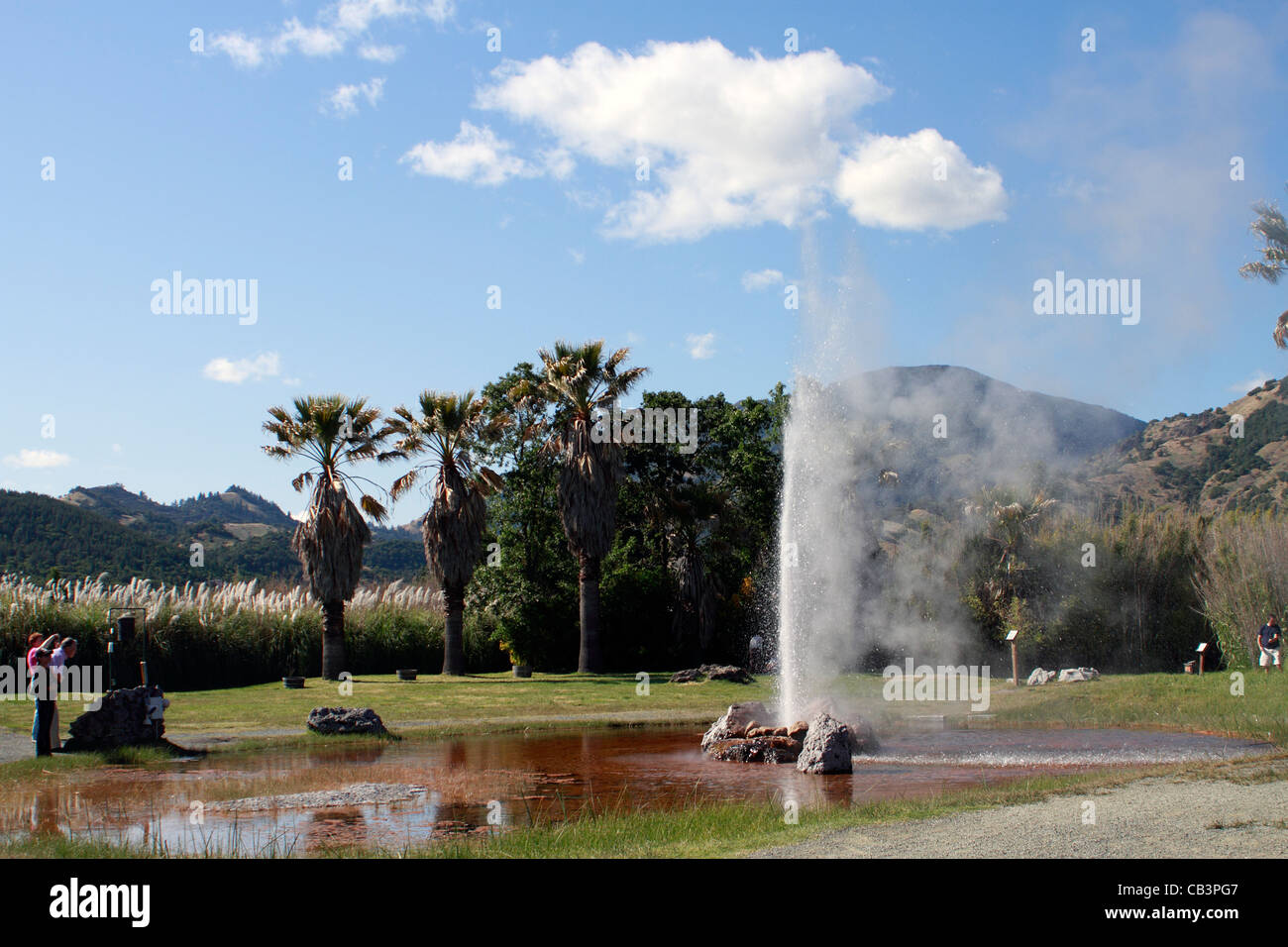 Old Faithful Geyser in Calistoga, Nappa Valley, California. Next to ...