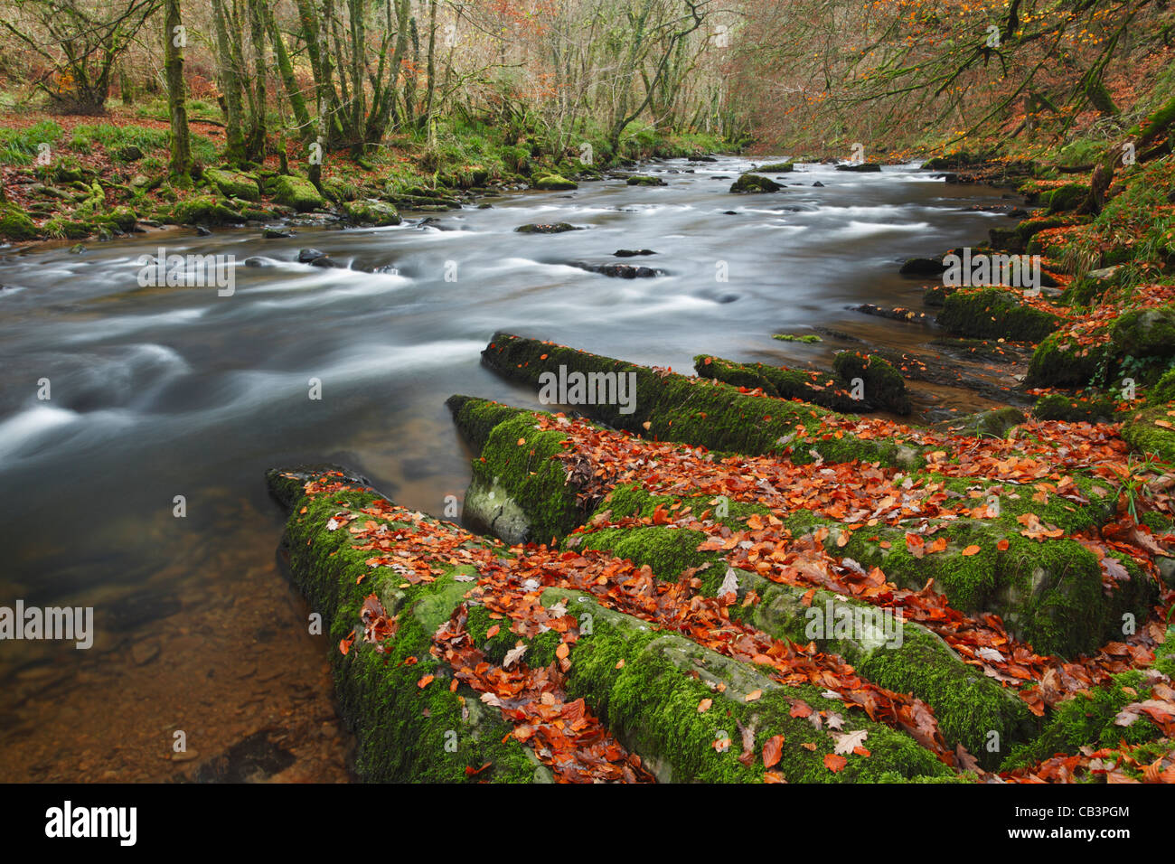 The River Barle near Tarr Steps. Autumn. Exmoor National Park. Somerset ...