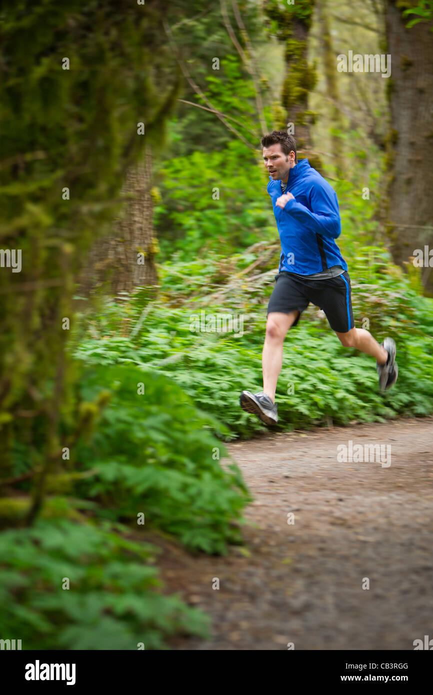 Portland, Oregon, USA, Man trail running in forest Stock Photo - Alamy