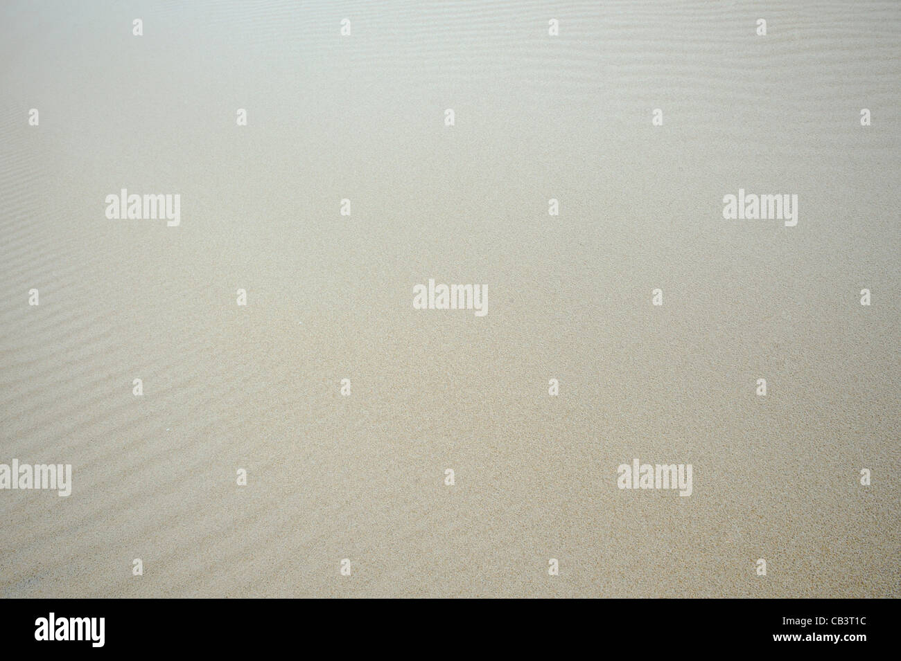 Sand ripples, Henty Dunes, West Coast, Tasmania, Australia Stock Photo ...