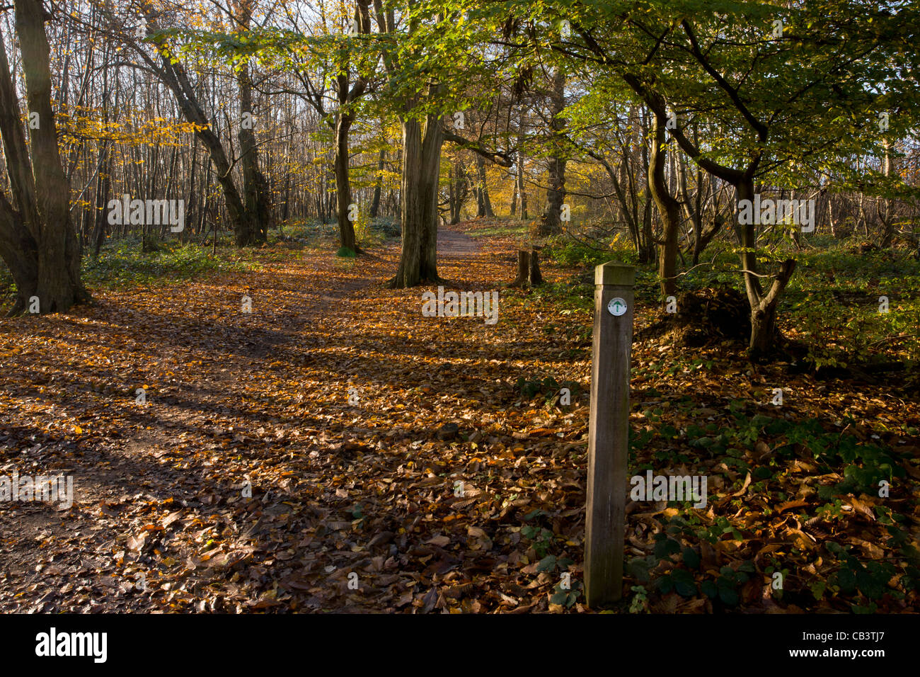Pathway sign hi-res stock photography and images - Alamy